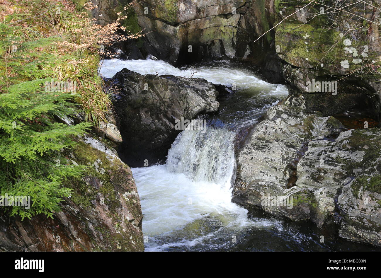 Wee caldron hi-res stock photography and images - Alamy