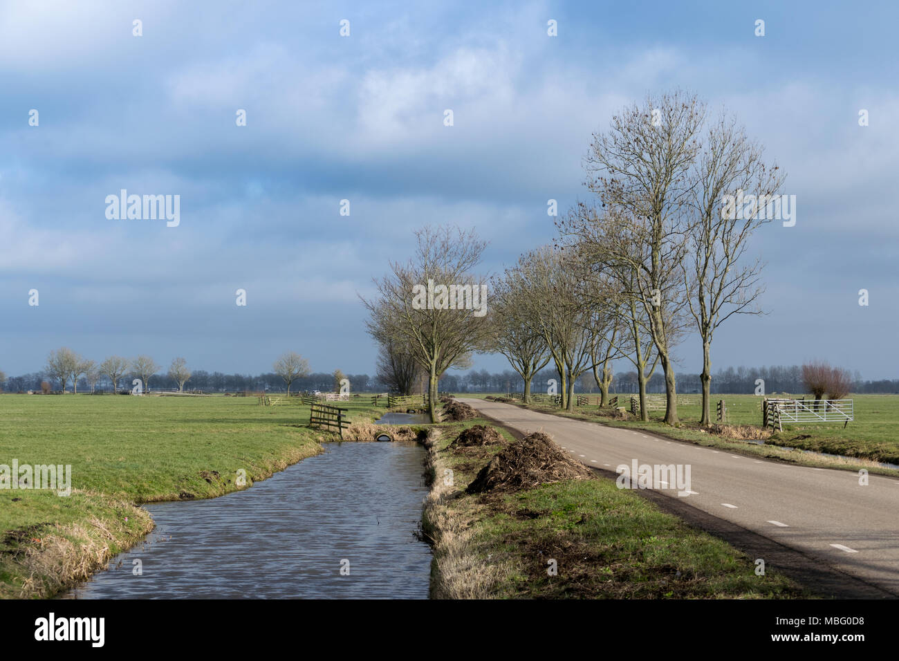 Polder landscapes holland hi-res stock photography and images - Alamy