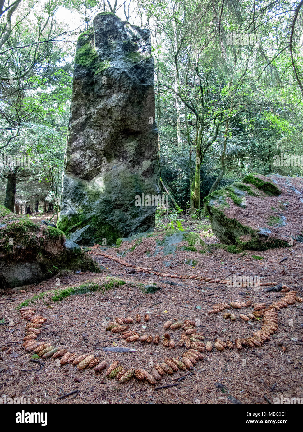 Breton forest hi-res stock photography and images - Alamy