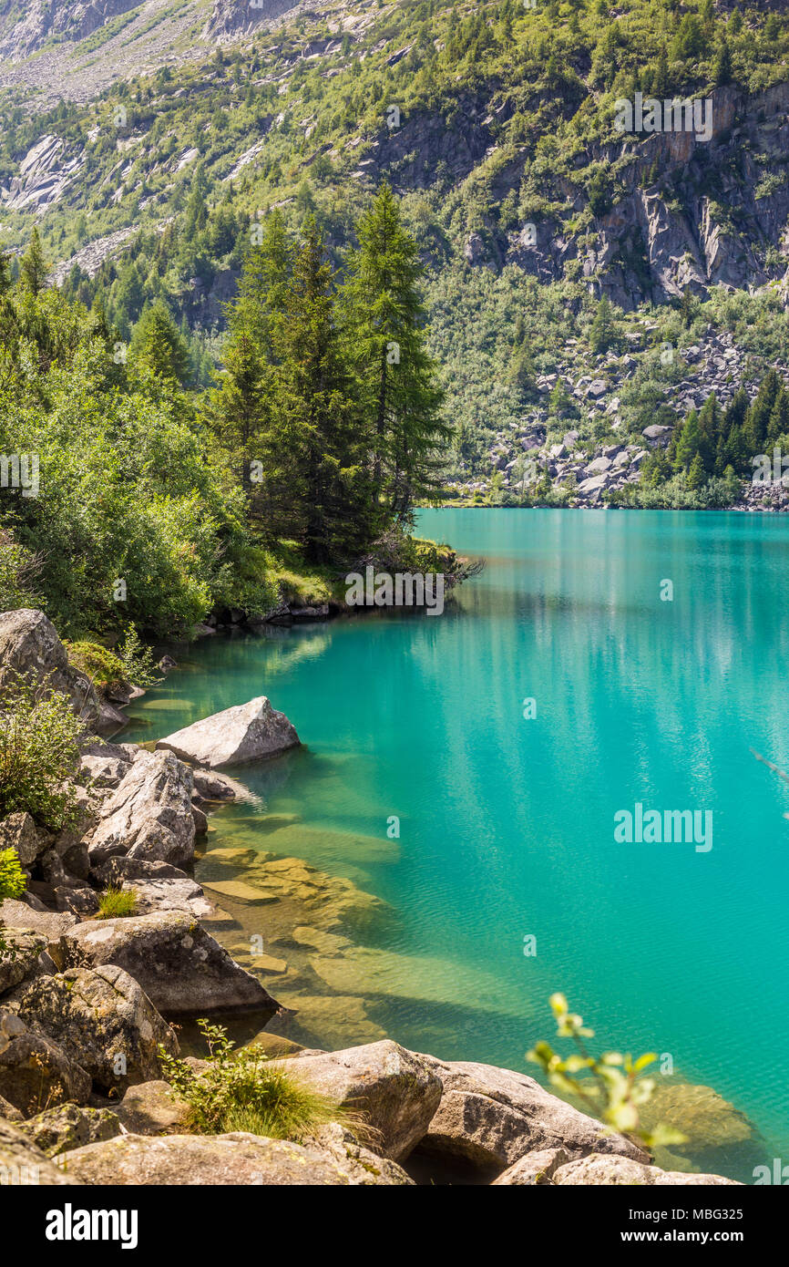 Vertical view with rocks and forest on the Aviolo Lake. Edolo, Italy ...