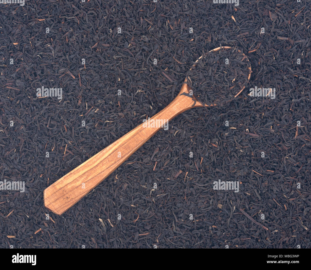 Assam tea camellia sinensis hi-res stock photography and images - Alamy