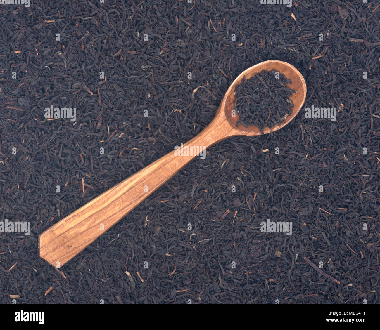 Assam tea camellia sinensis hi-res stock photography and images - Alamy