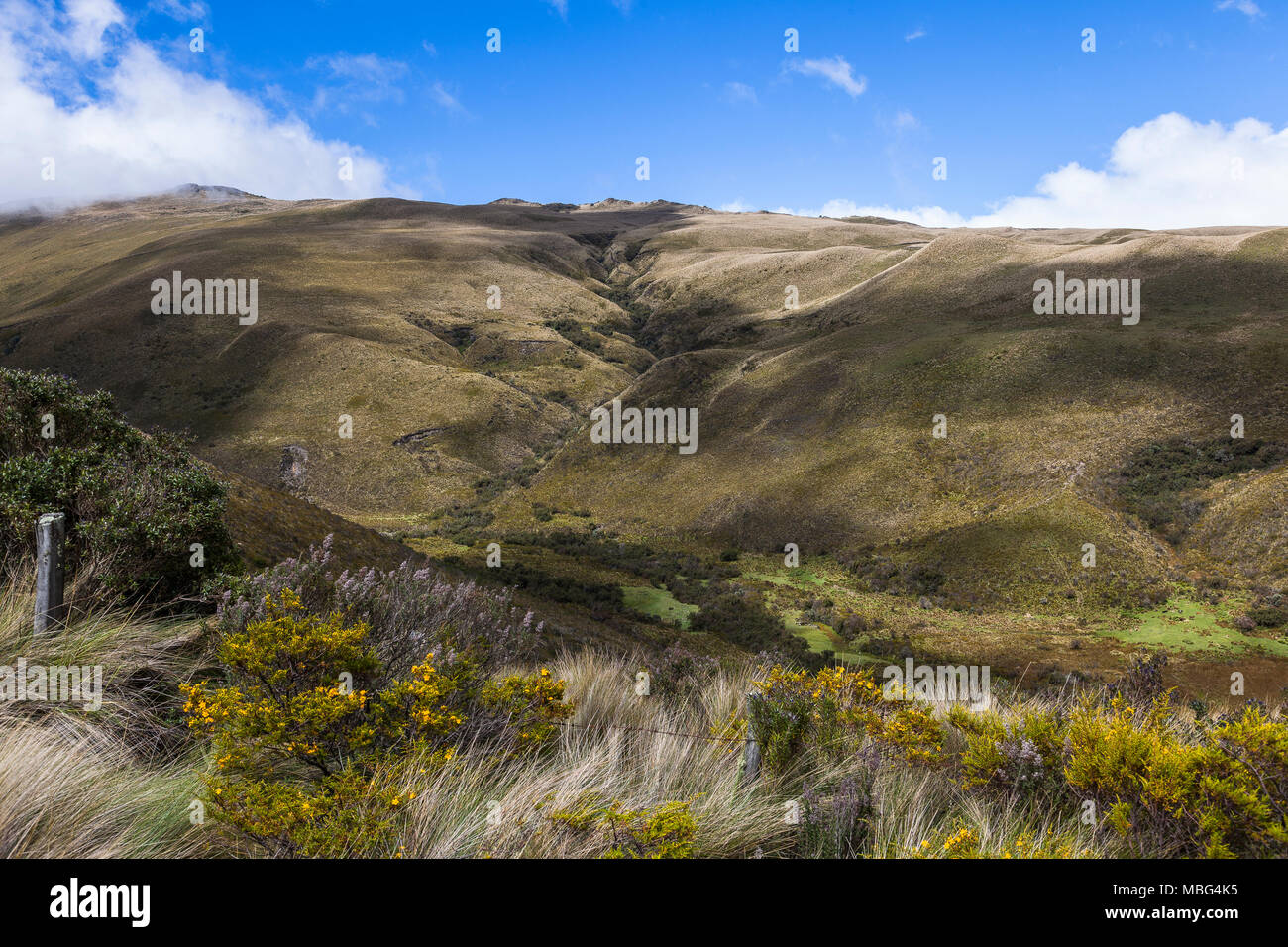 Ecologica Reserve Los Ilinizas, Ecuadorian Andes Stock Photo - Alamy