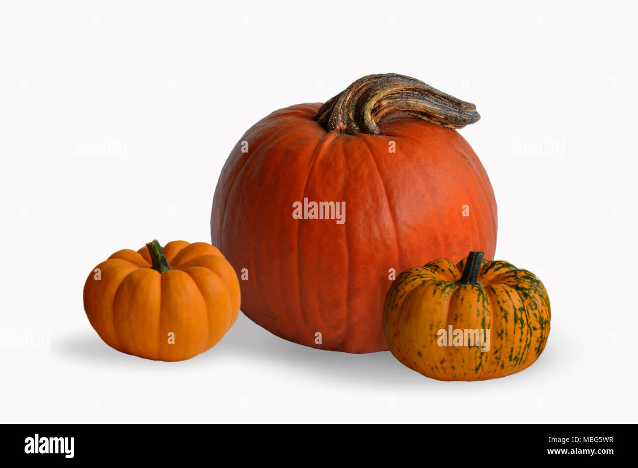 three pumpkins of different sizes isolated on white background Stock ...