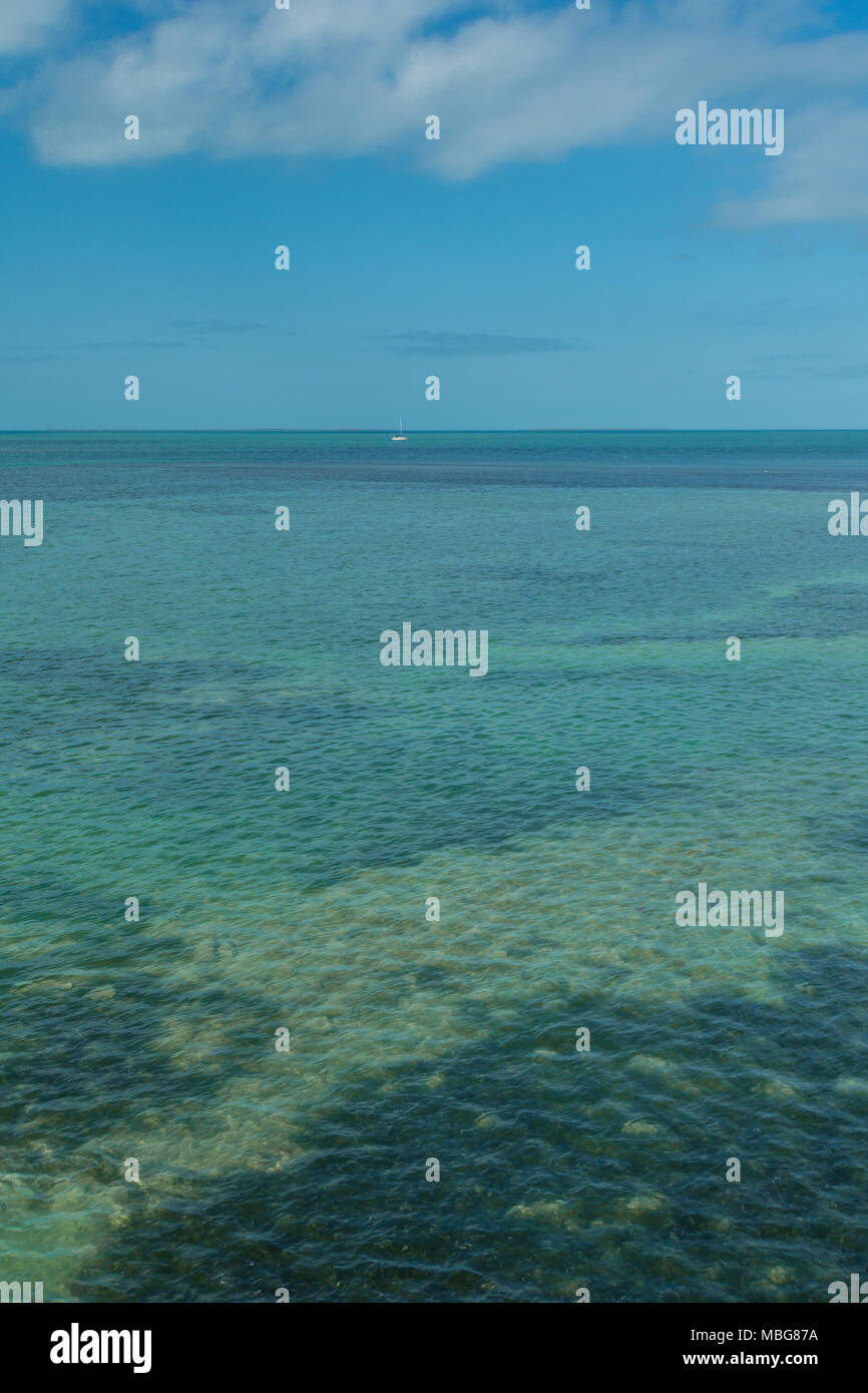 USA, Florida, Algae and clear blue water at florida keys with blue sky ...