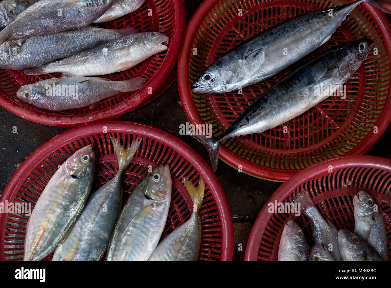 Vietnam fishing baskets hi-res stock photography and images - Alamy