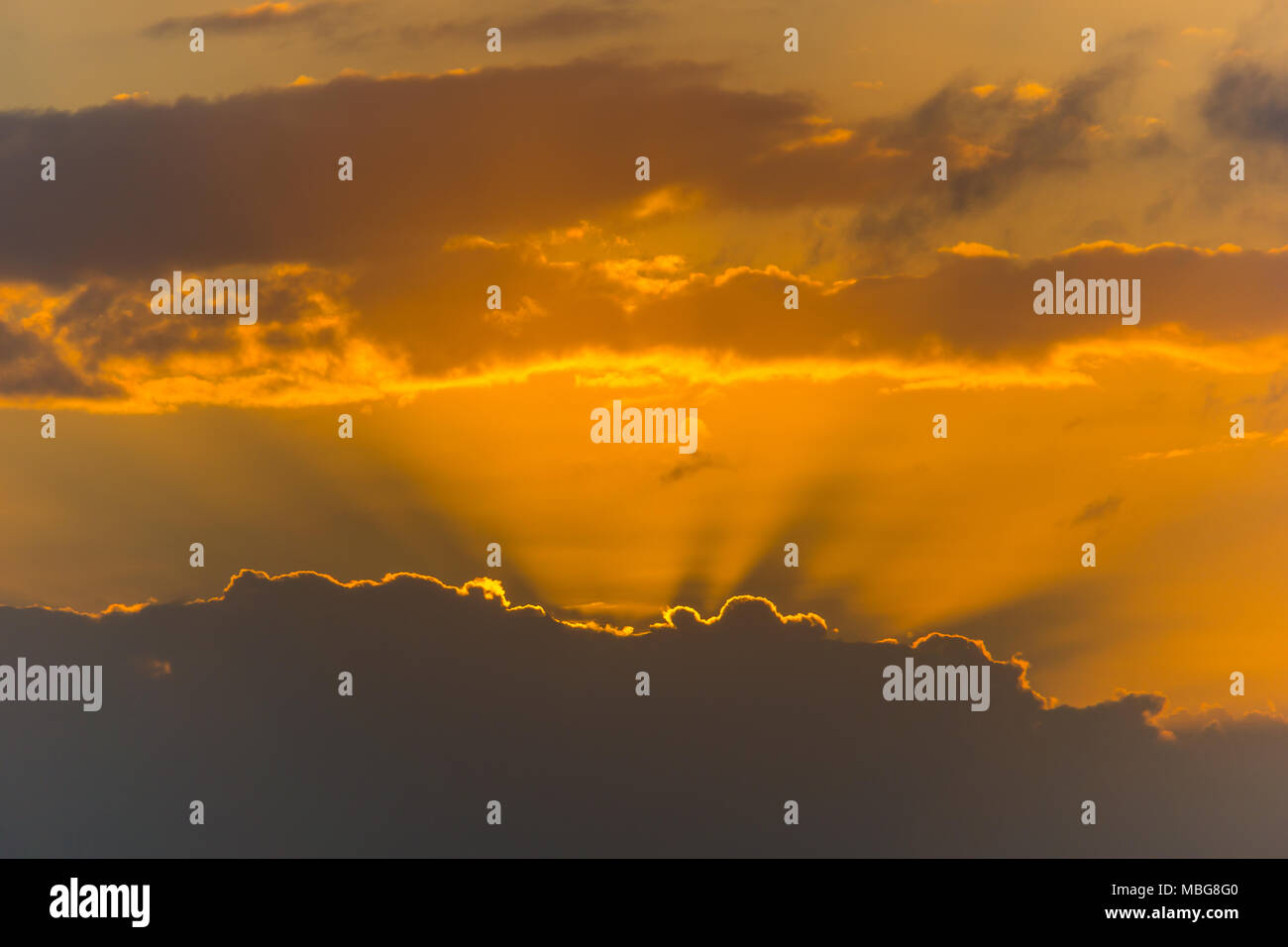 USA, Florida, Orange sunset colours behind big cloud Stock Photo - Alamy