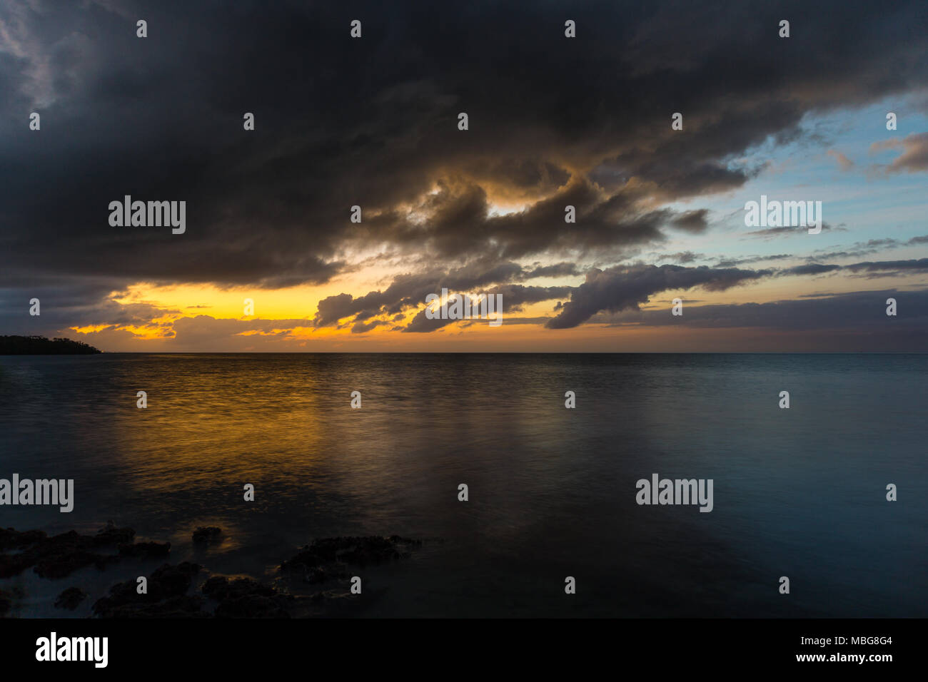Mangrove forest florida keys hi-res stock photography and images - Alamy