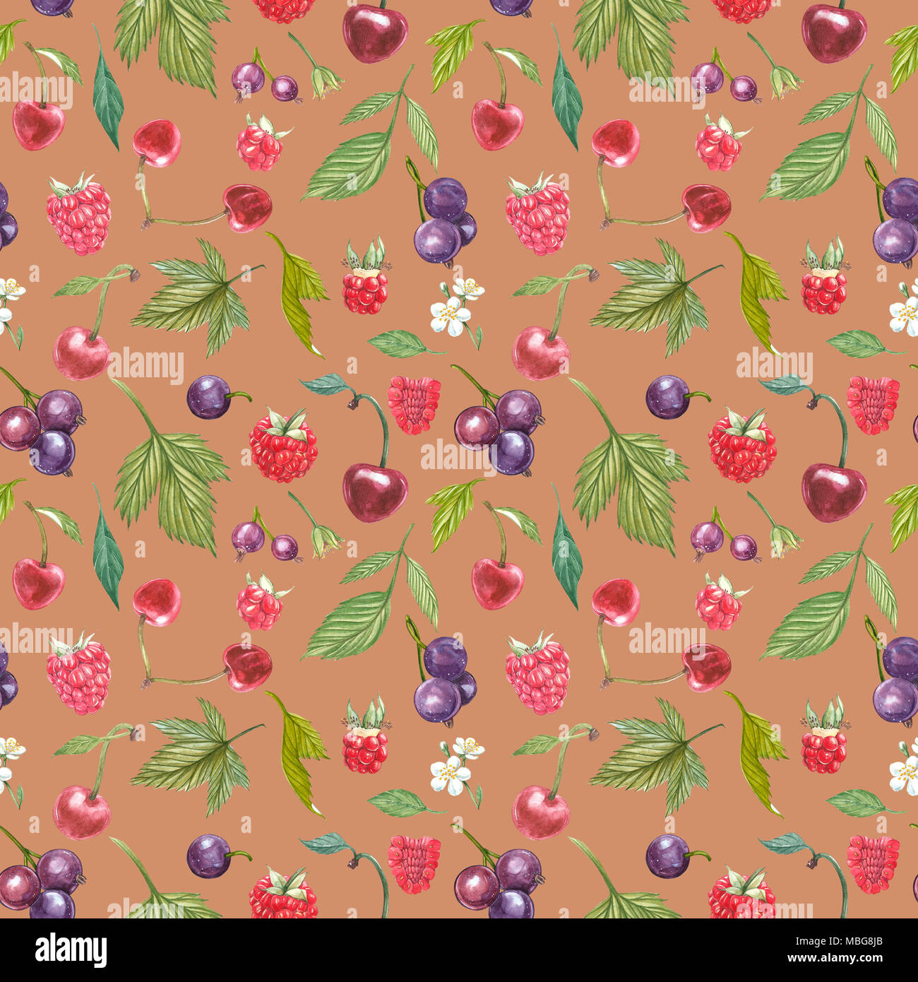 Set of hand drawn berries isolated on white background. Blackcurrant ...