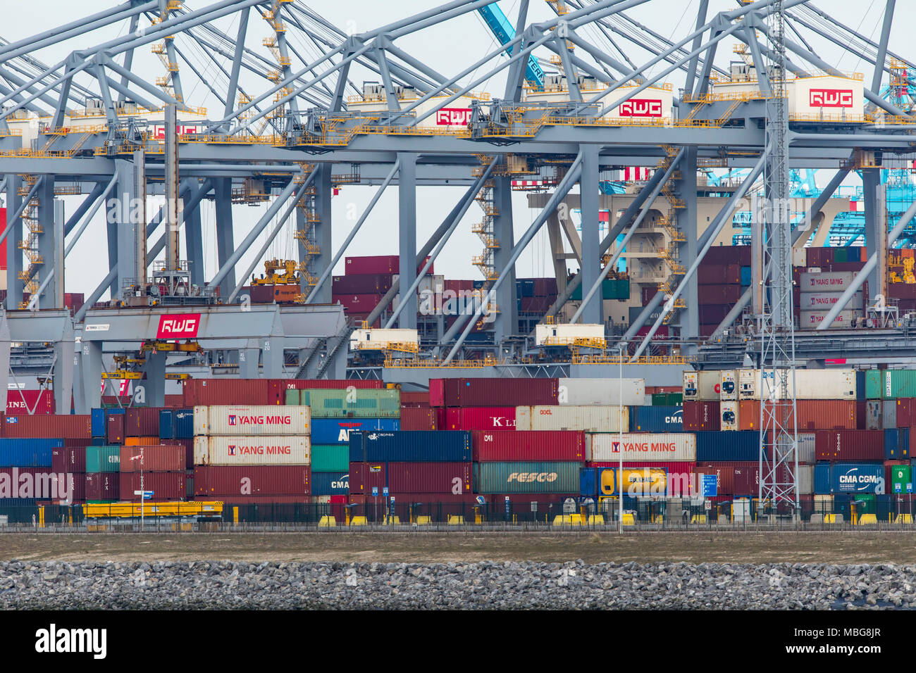 Rotterdam world gateway hi-res stock photography and images - Alamy
