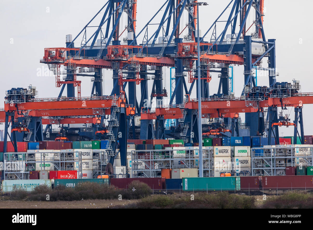 The seaport of Rotterdam, Netherlands, deep-sea port Maasvlakte 2, on ...