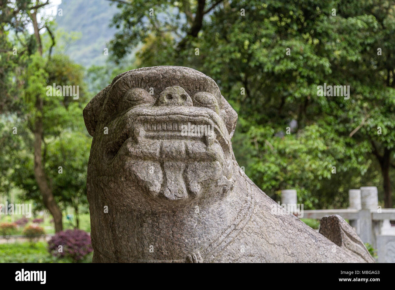 Close up of a Chinese or Imperial guardian lion statue. Also known as a ...