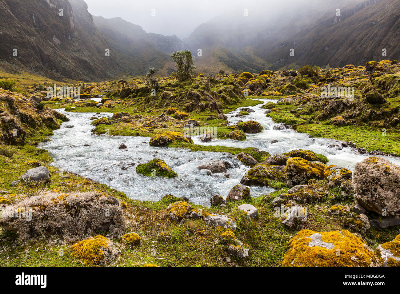 Sangay National Park