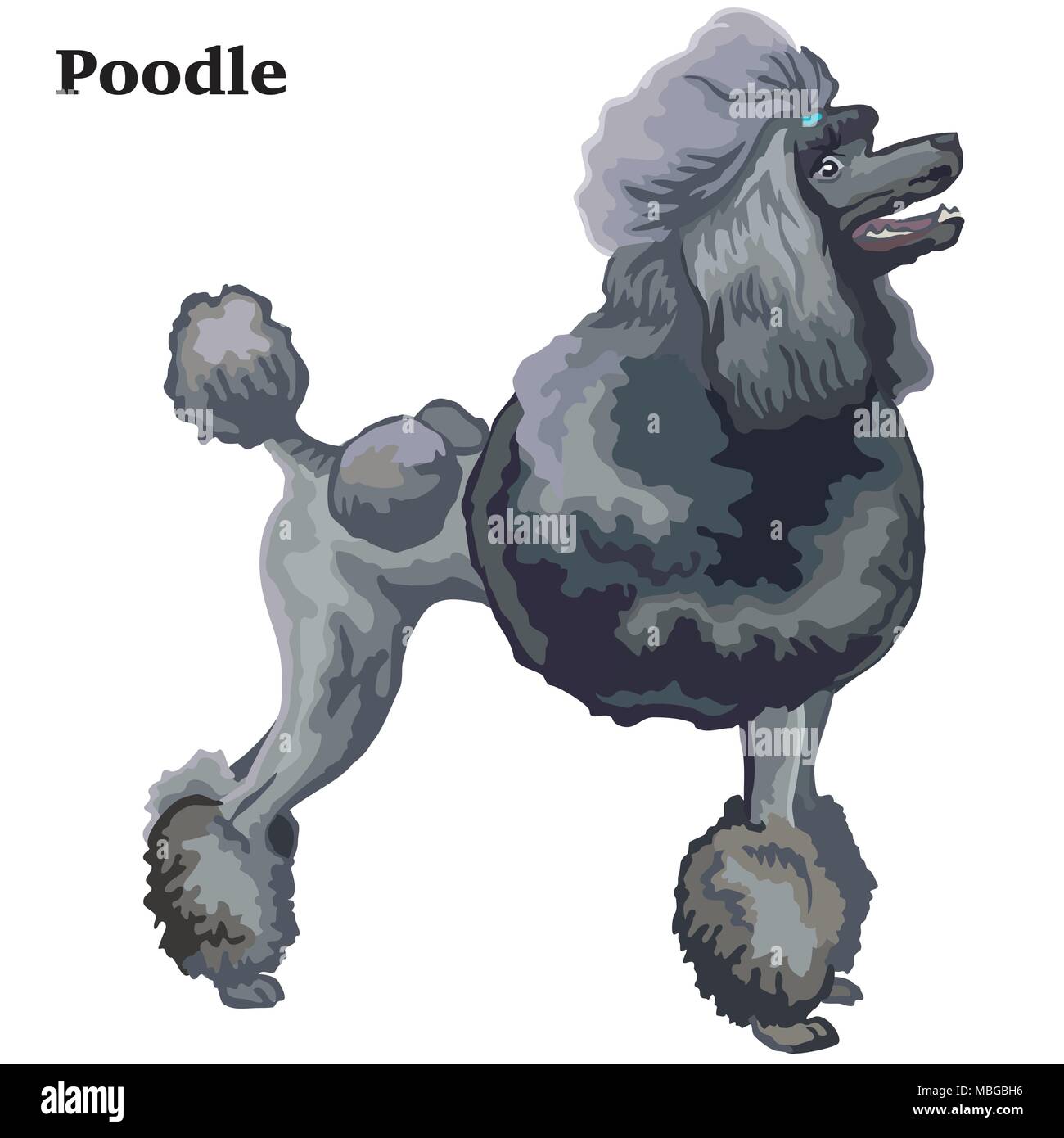 Poodle cut out Stock Vector Images - Alamy