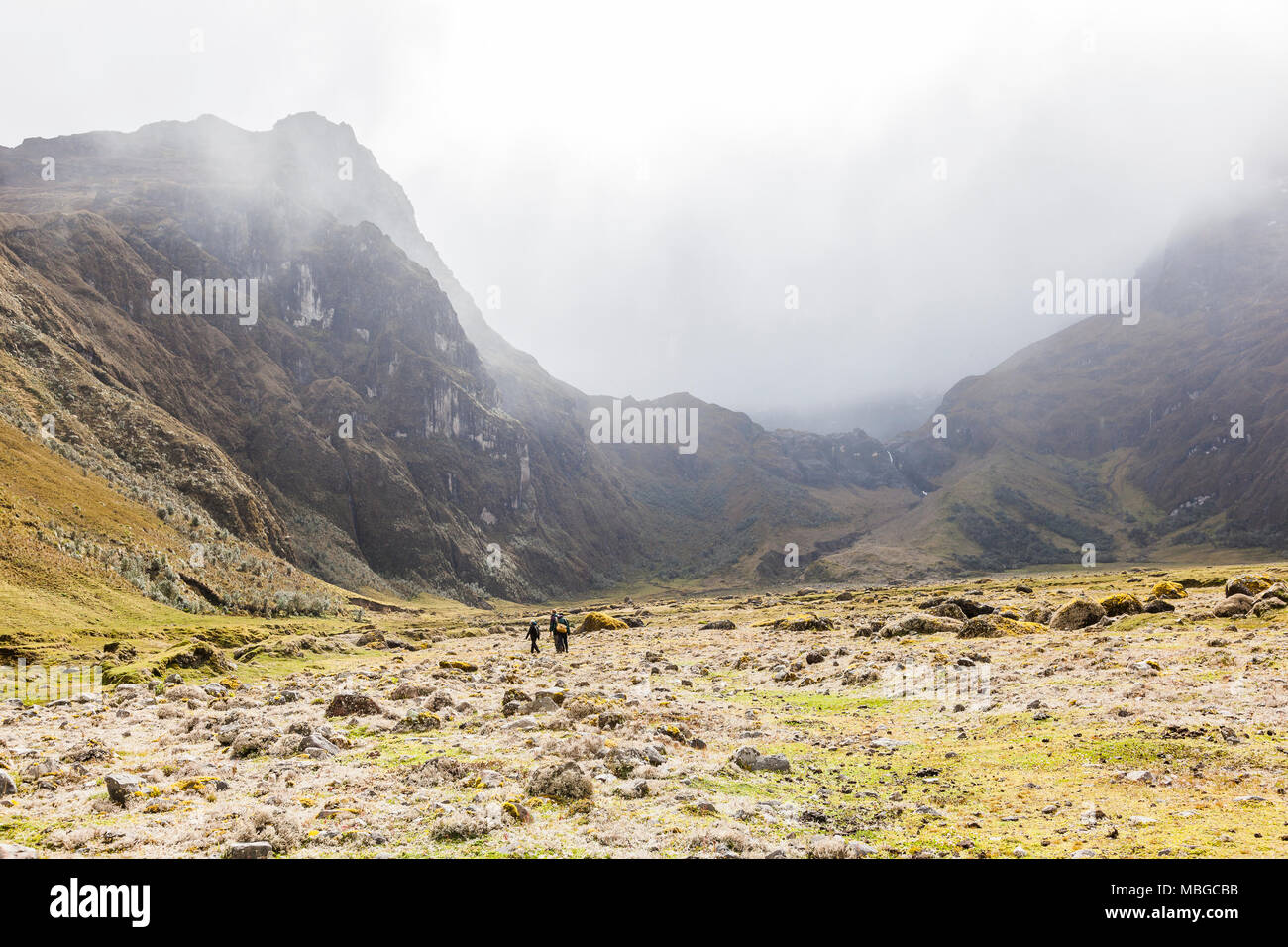 Collanes Valley in El Altar volcano Sangay National Park Stock Photo ...