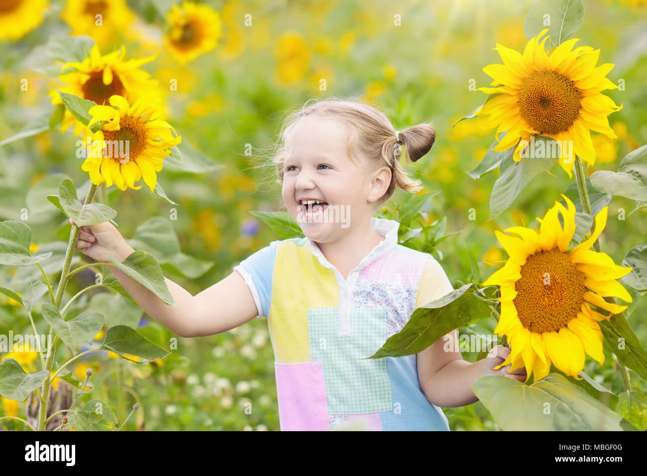 Child playing in sunflower field on sunny summer day. Kids play with ...