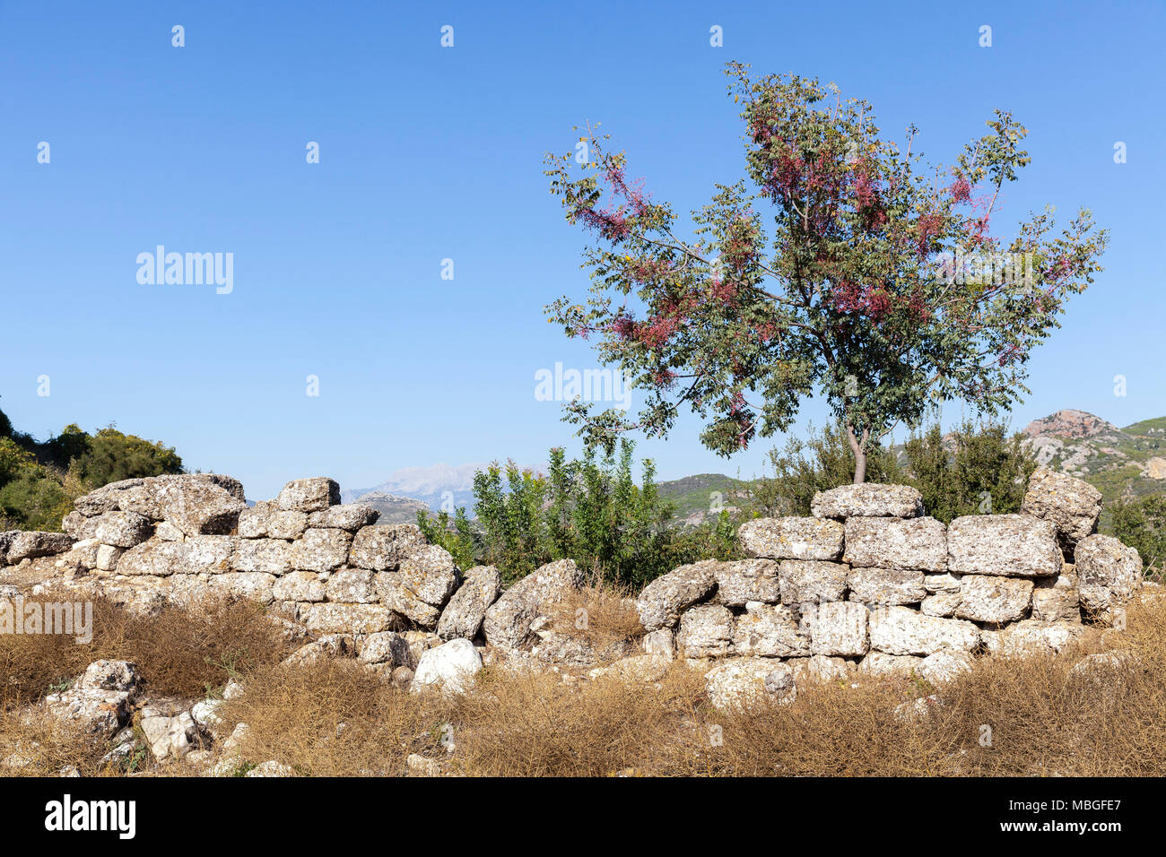 Ruins of ancient city of Aspendos in Antalya in Turkey Stock Photo - Alamy