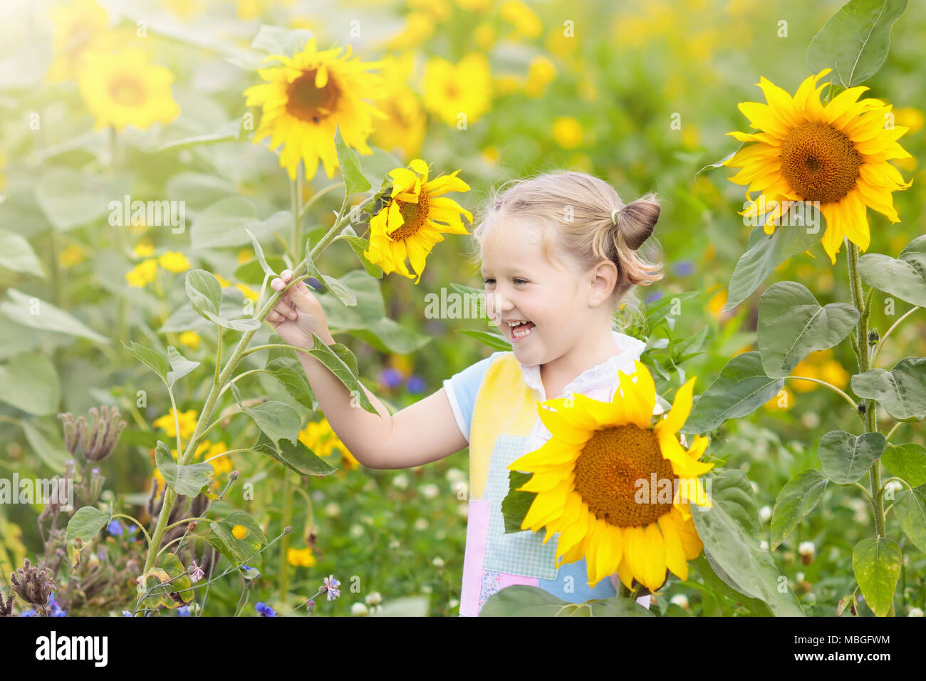Children sun fun play flower field hi-res stock photography and images ...