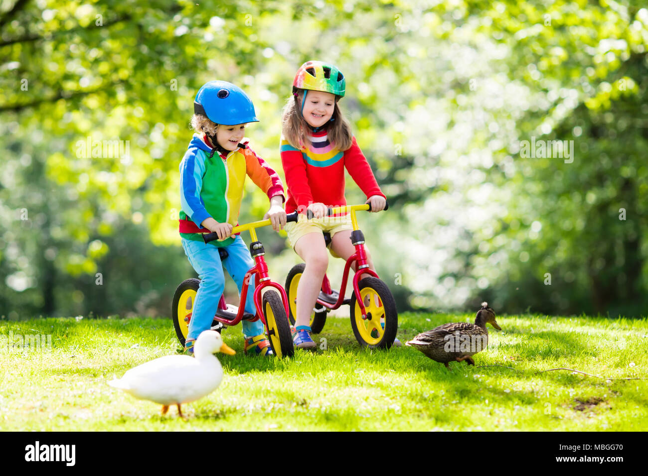 Children riding balance bike. Kids on bicycle in sunny park. Little ...
