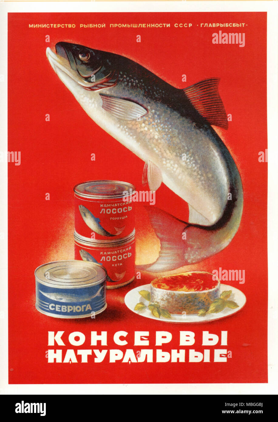 Salmon, Sturgeon - Natural Canned Products Stock Photo - Alamy