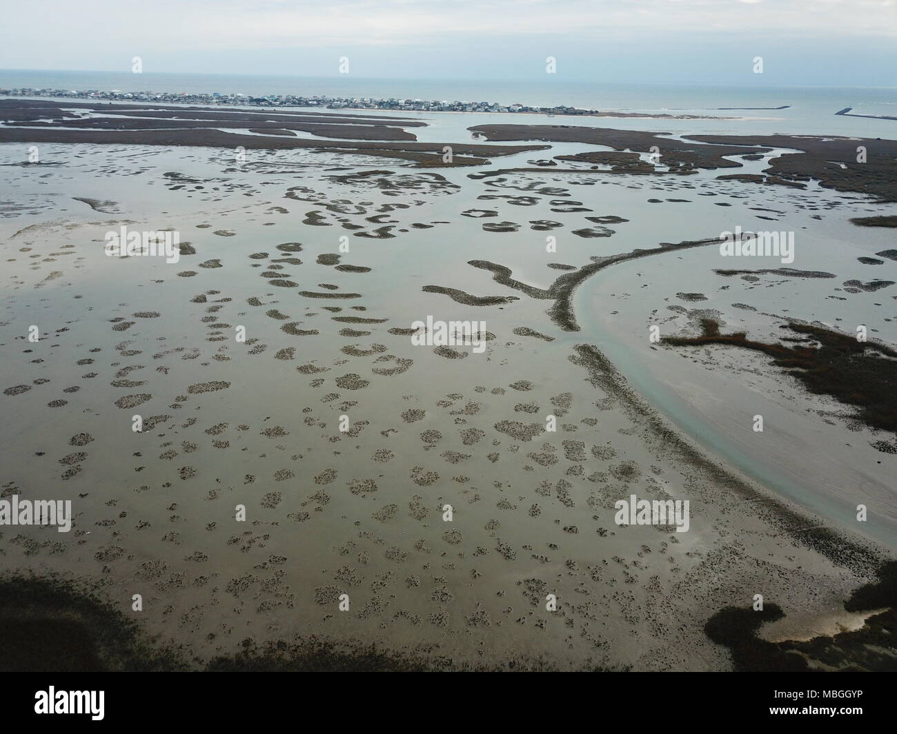Atlantic coastal wetlands hi-res stock photography and images - Alamy