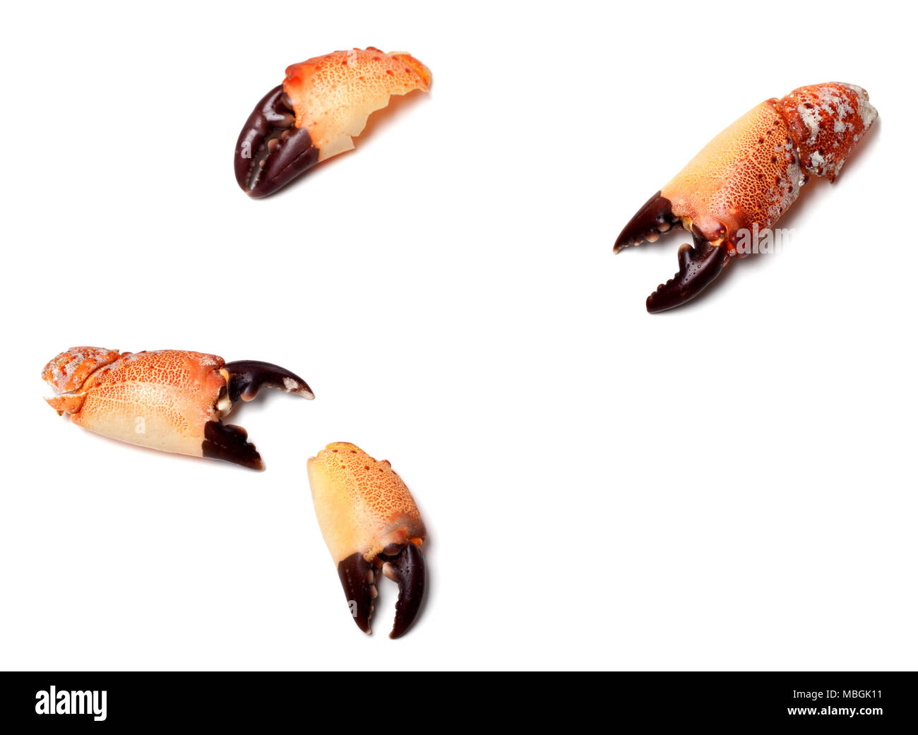 Cooked pincers from crab. Isolated on white background with copy space ...