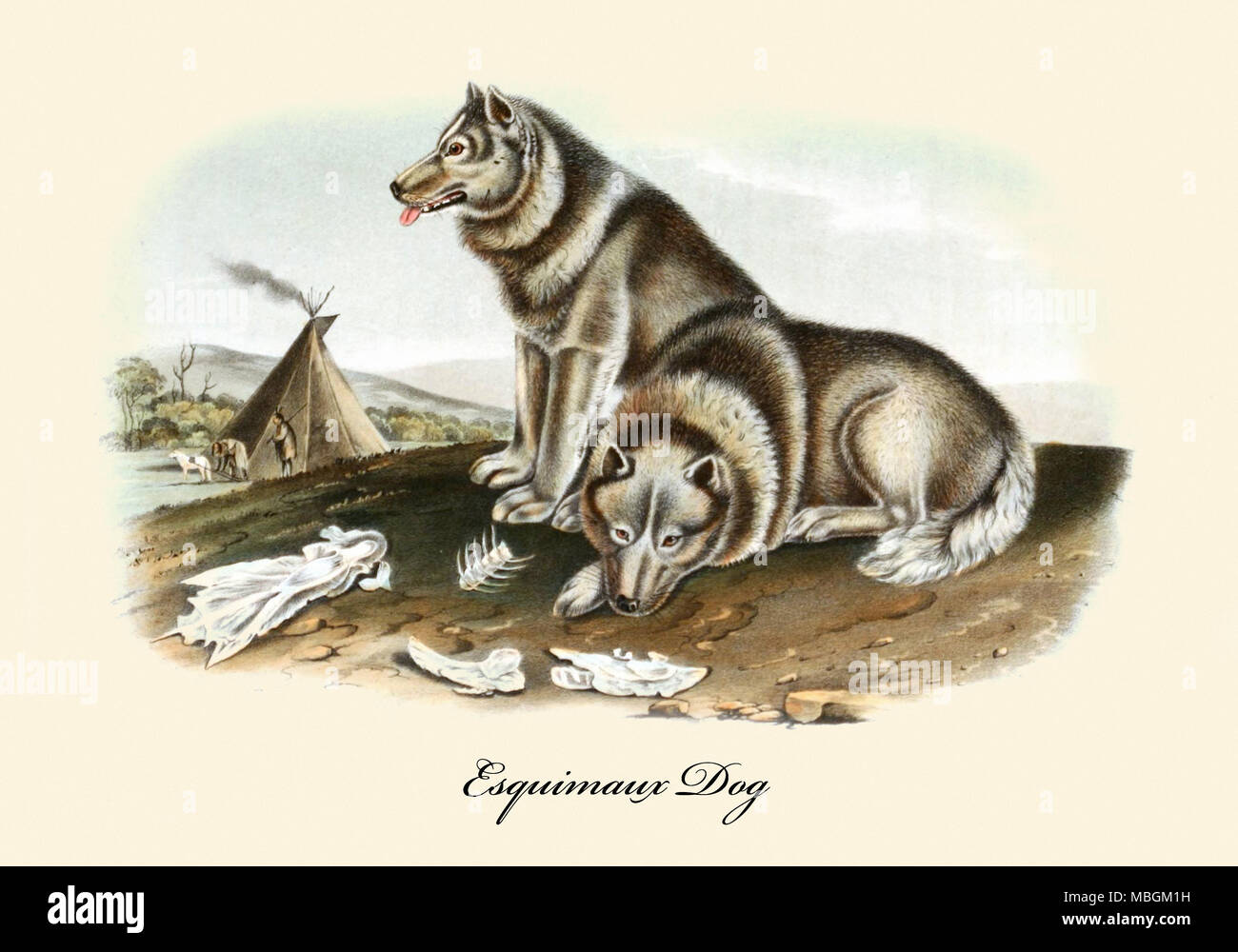 Esquimaux hi-res stock photography and images - Alamy