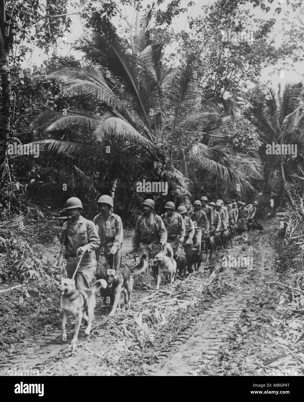 Devil dogs hi-res stock photography and images - Alamy