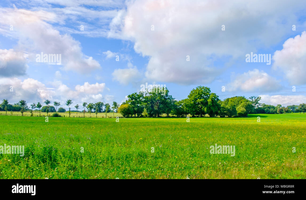 Summer day in normandy hi-res stock photography and images - Alamy