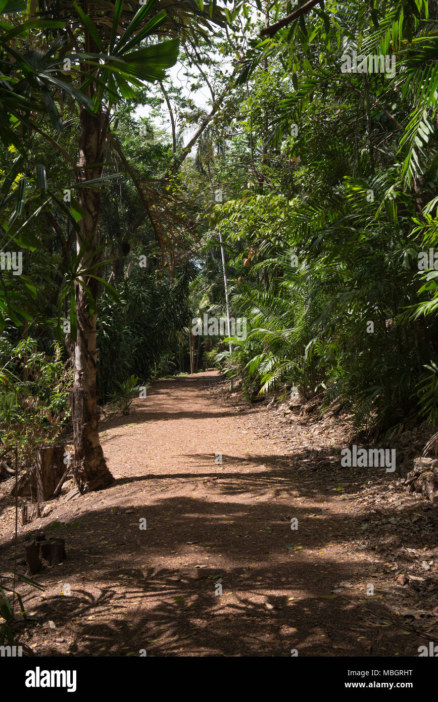 The George Brown Darwin Botanic Gardens in Darwin, Australia are noted ...