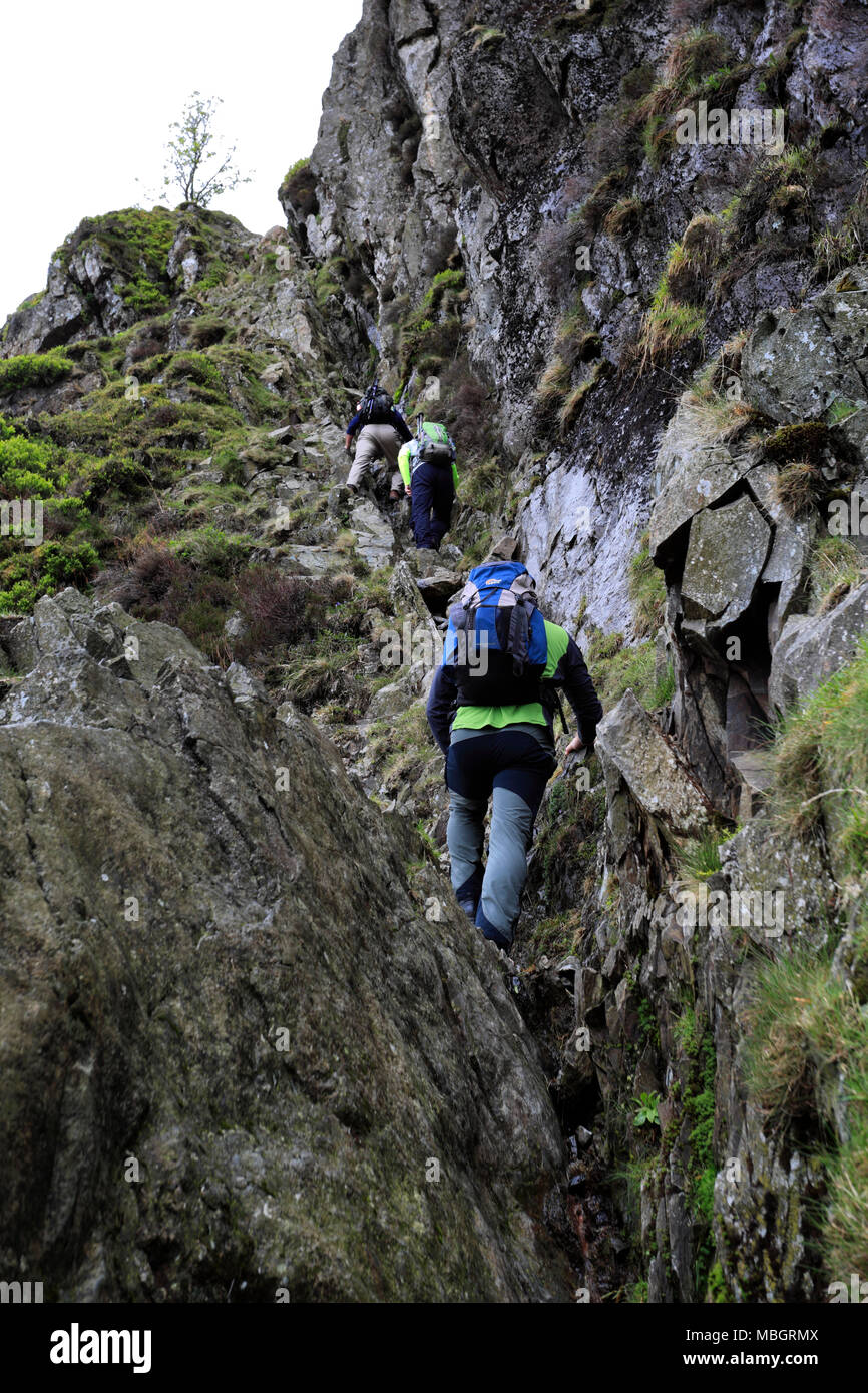 Walkers on Jacks Rake above Stickle Tarn, Langdale, Lake District ...