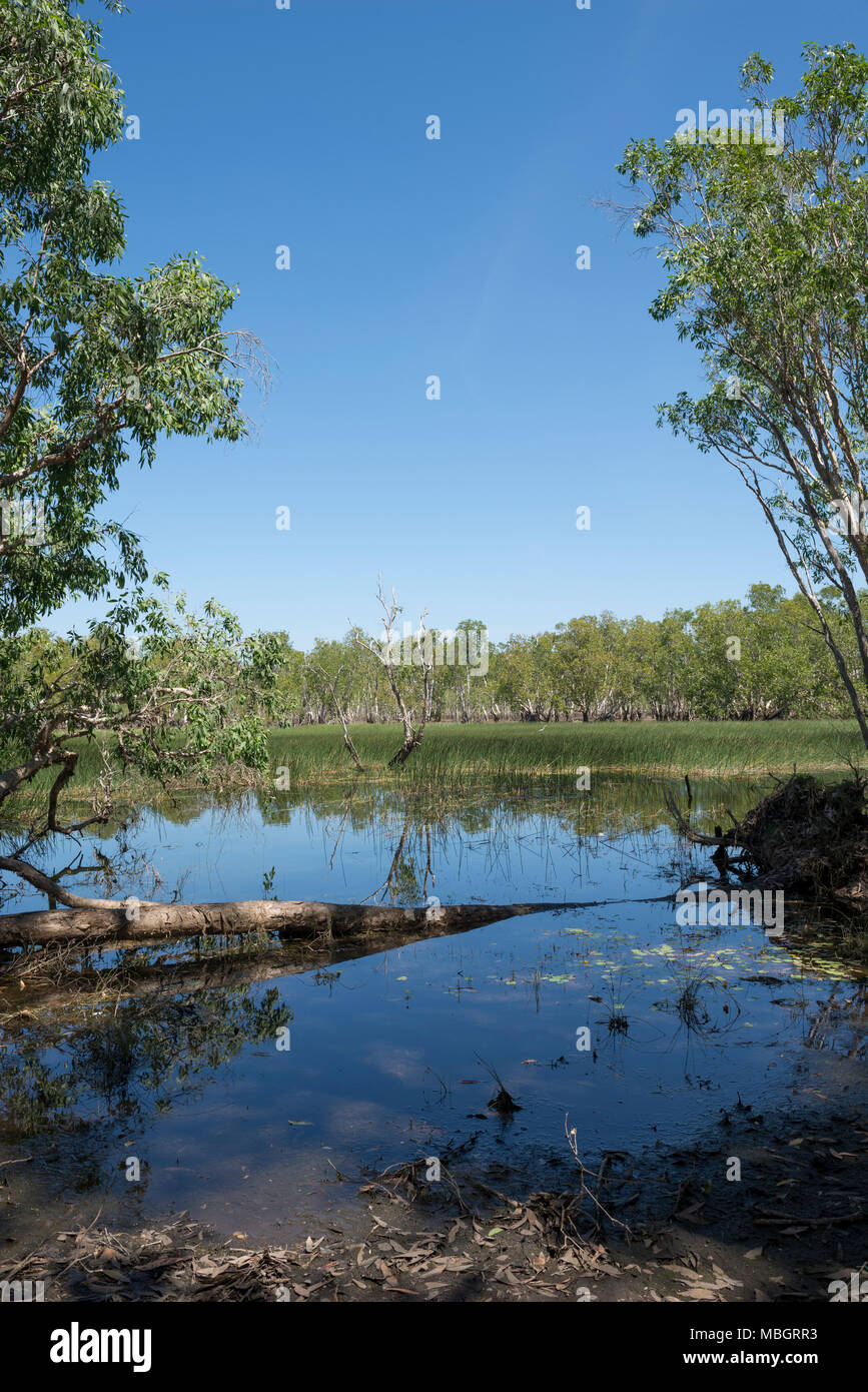 Tabletop Swamp in Litchfield National Park, Northern Territory ...