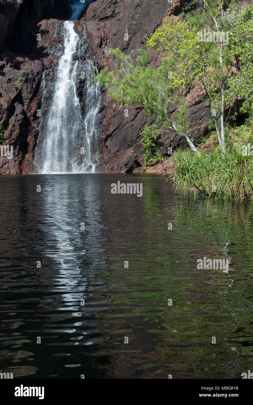 Wangi Falls in Litchfield National Park, Northern Territory, Australia ...