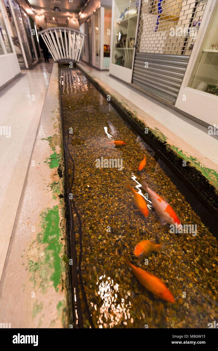 The Tyburn stream (which flows into the Thames) in the basement of Gray ...