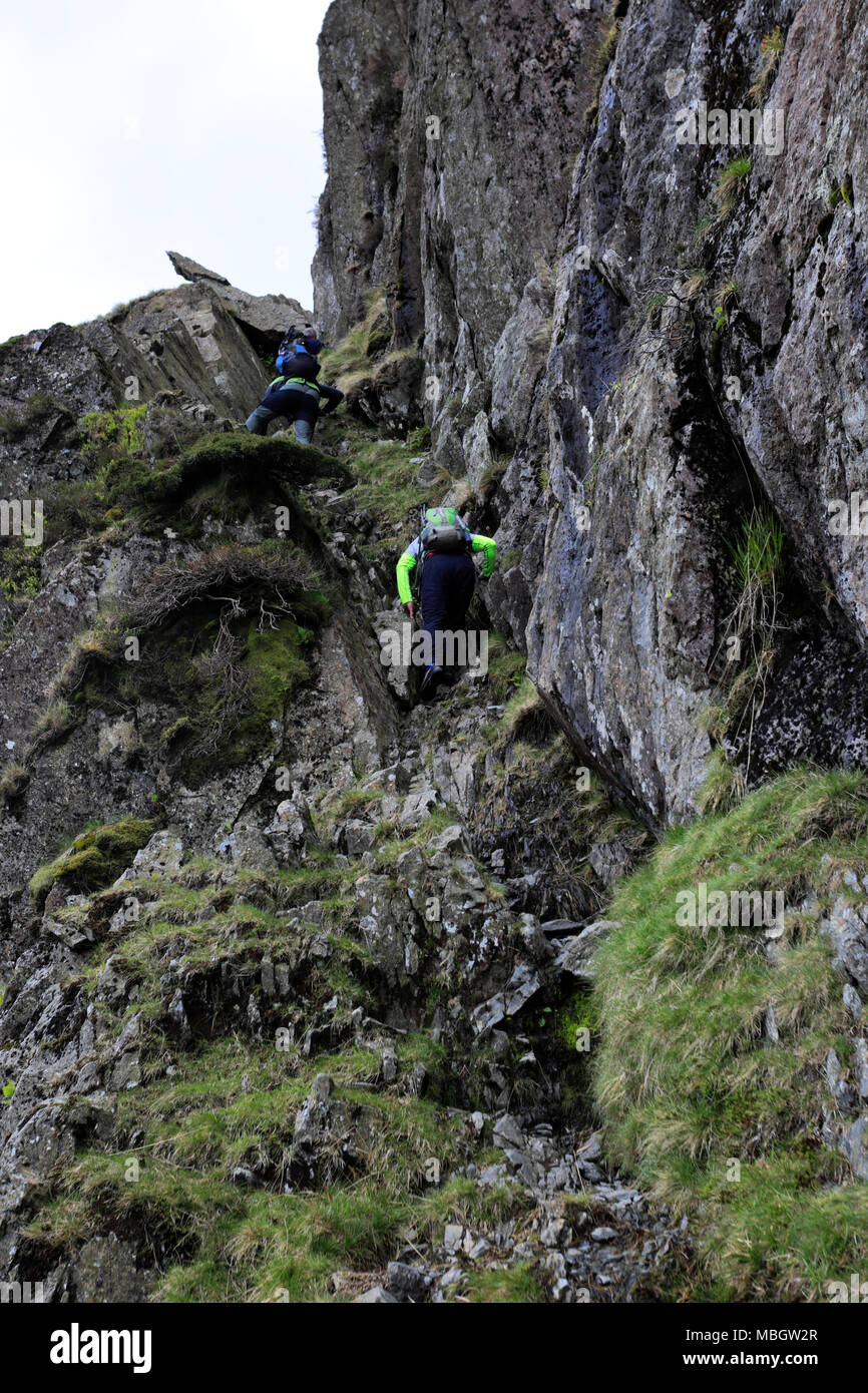 Grade 1 Scrambles High Resolution Stock Photography and Images - Alamy