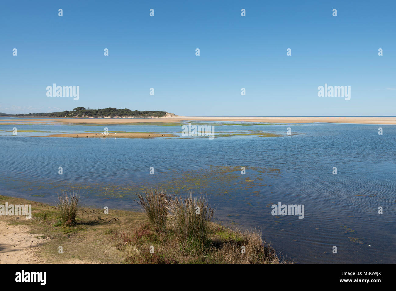 Tyers hi-res stock photography and images - Alamy