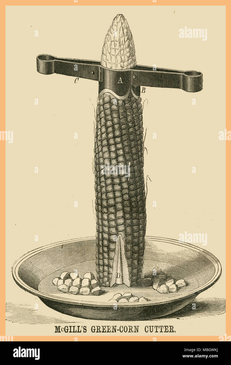 McGill's Green Corn Cutter Stock Photo - Alamy