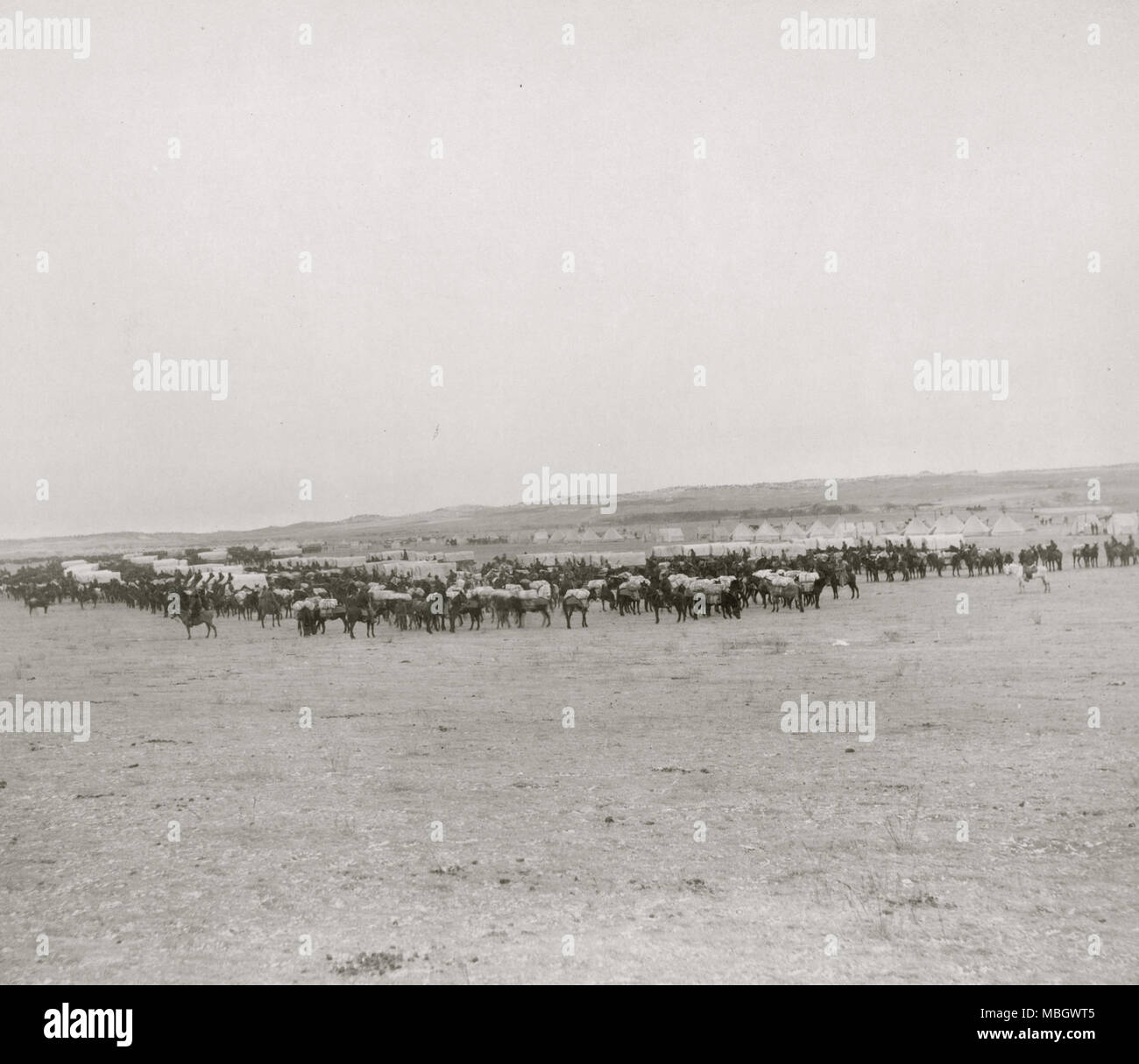 8th cavalry hi-res stock photography and images - Alamy