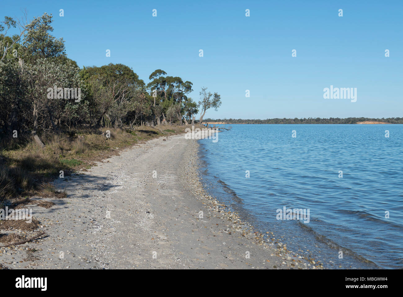 Banksia Peninsula, near the town of Bairnsdale, is a narrow sandy ...