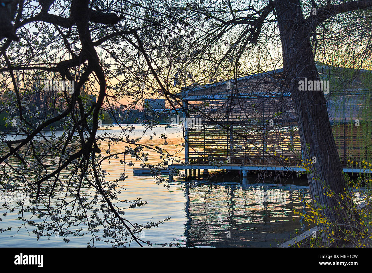 The nature and lake from the Herastrau Park in Bucharest, Romania Stock ...