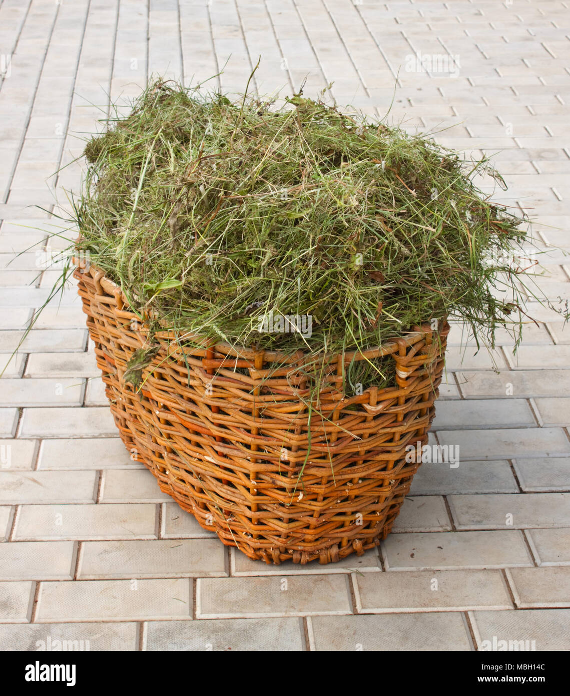 Basket with hay armful on platform from stone Stock Photo - Alamy