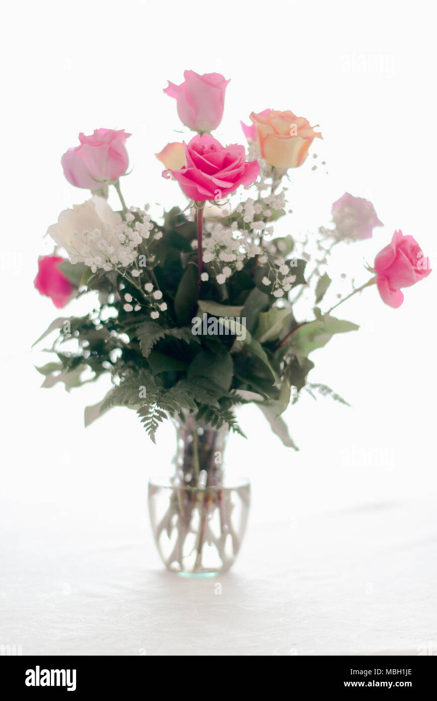 The different rose colors hi-res stock photography and images - Alamy