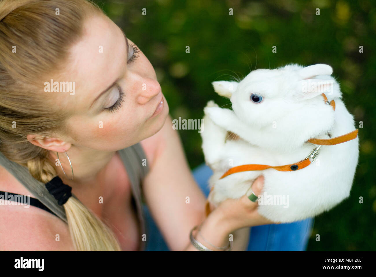 Rabbit in the park hi-res stock photography and images - Alamy
