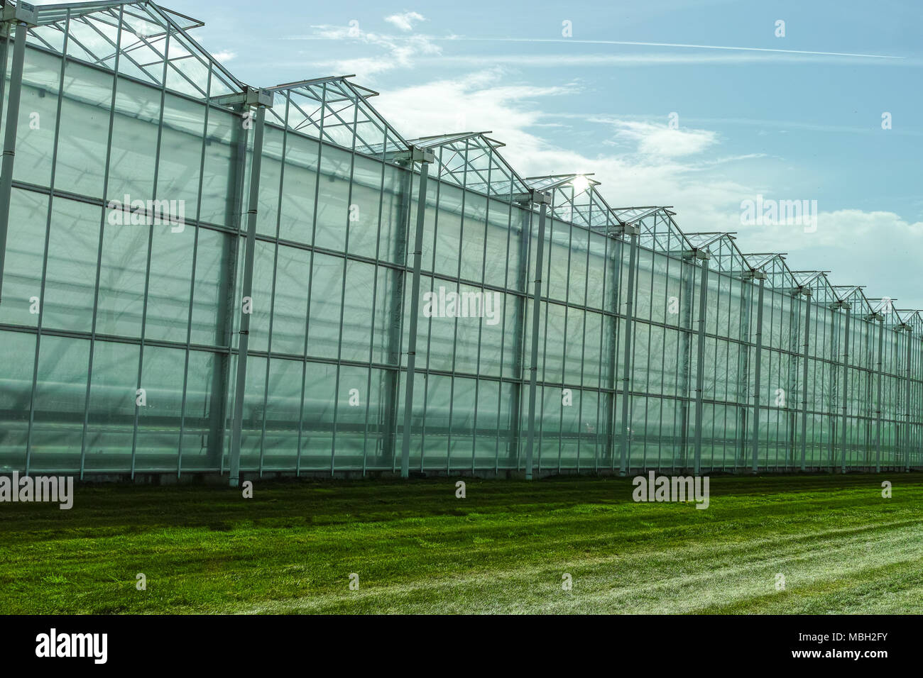 Big greenhouse hi-res stock photography and images - Alamy