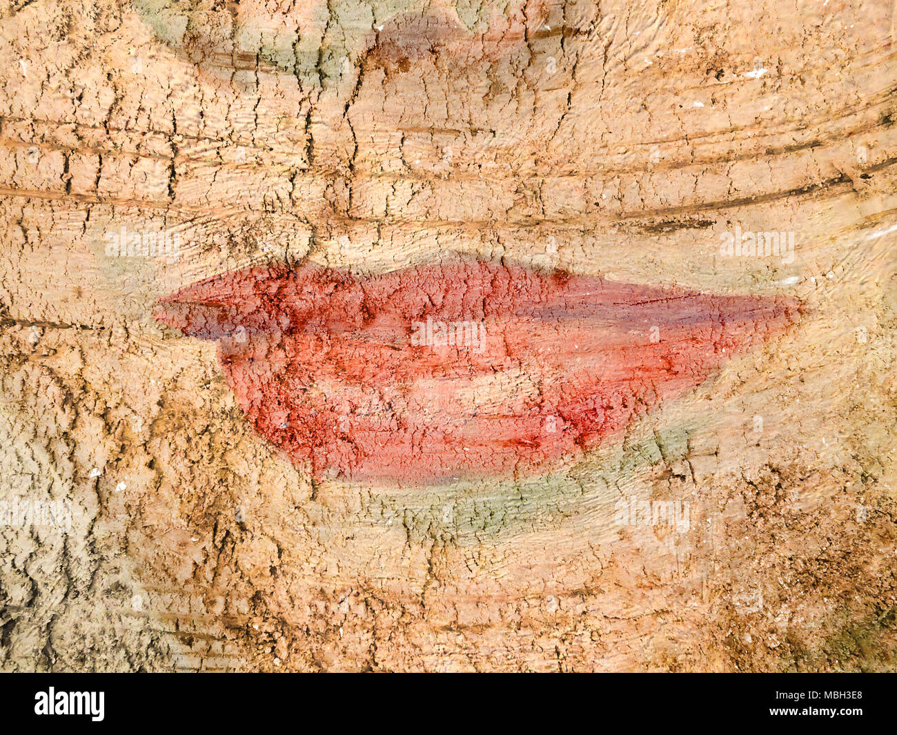 Lips texture human hi-res stock photography and images - Alamy