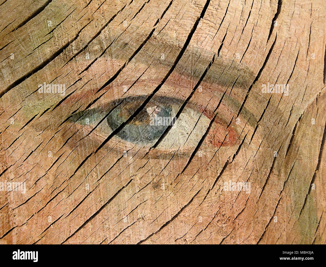 Textured and Painted Eye on Wood Stock Photo - Alamy