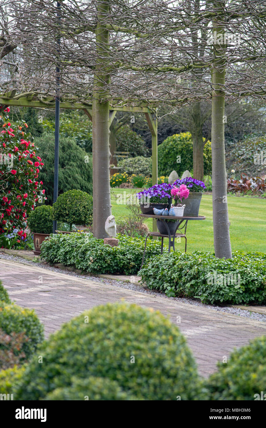 Rural country style spring garden with colorful flowers, cutted trees ...