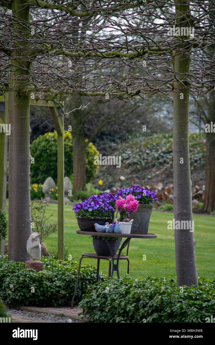 Rural country style spring garden with colorful flowers, cutted trees ...