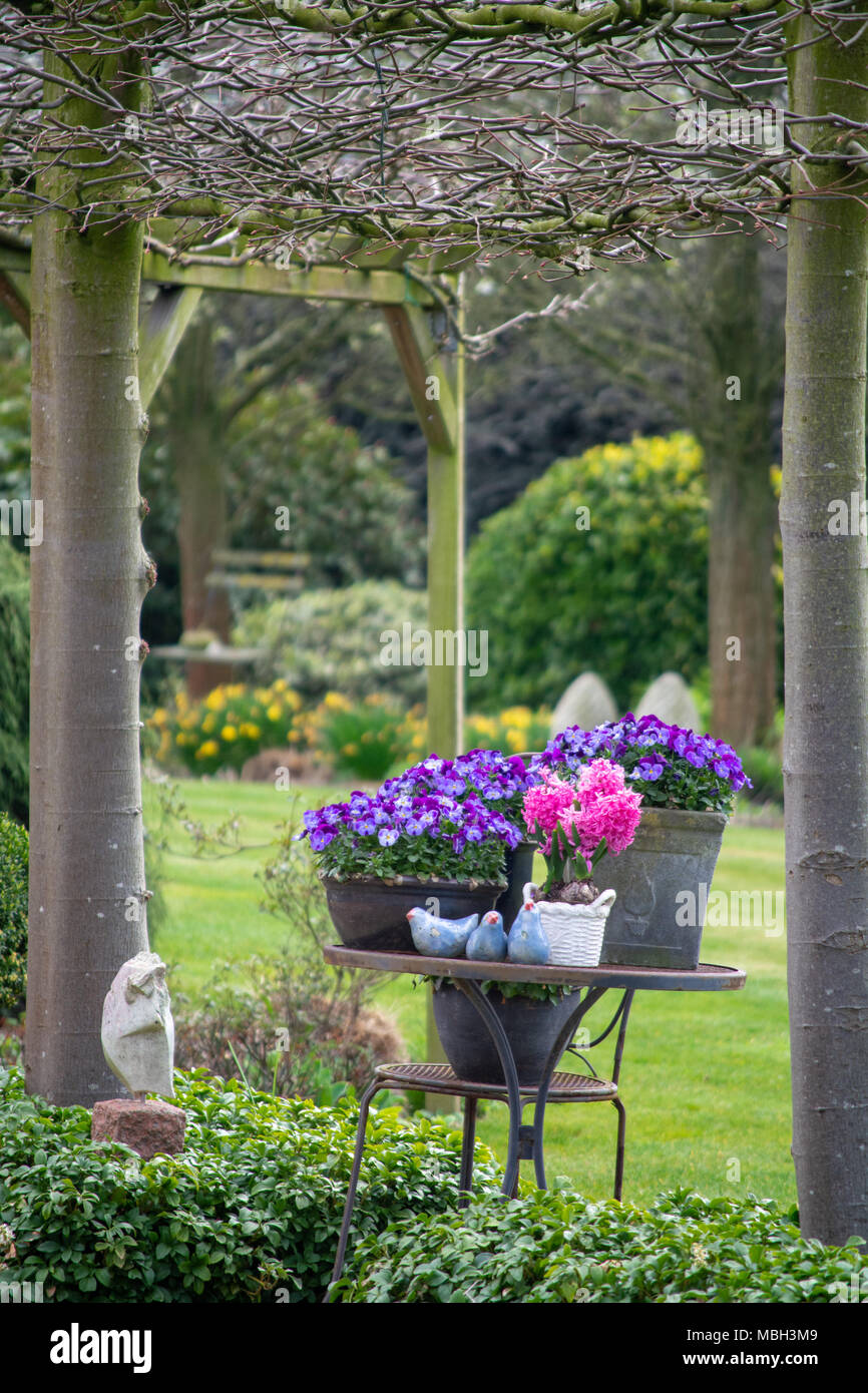 Rural country style spring garden with colorful flowers, cutted trees ...