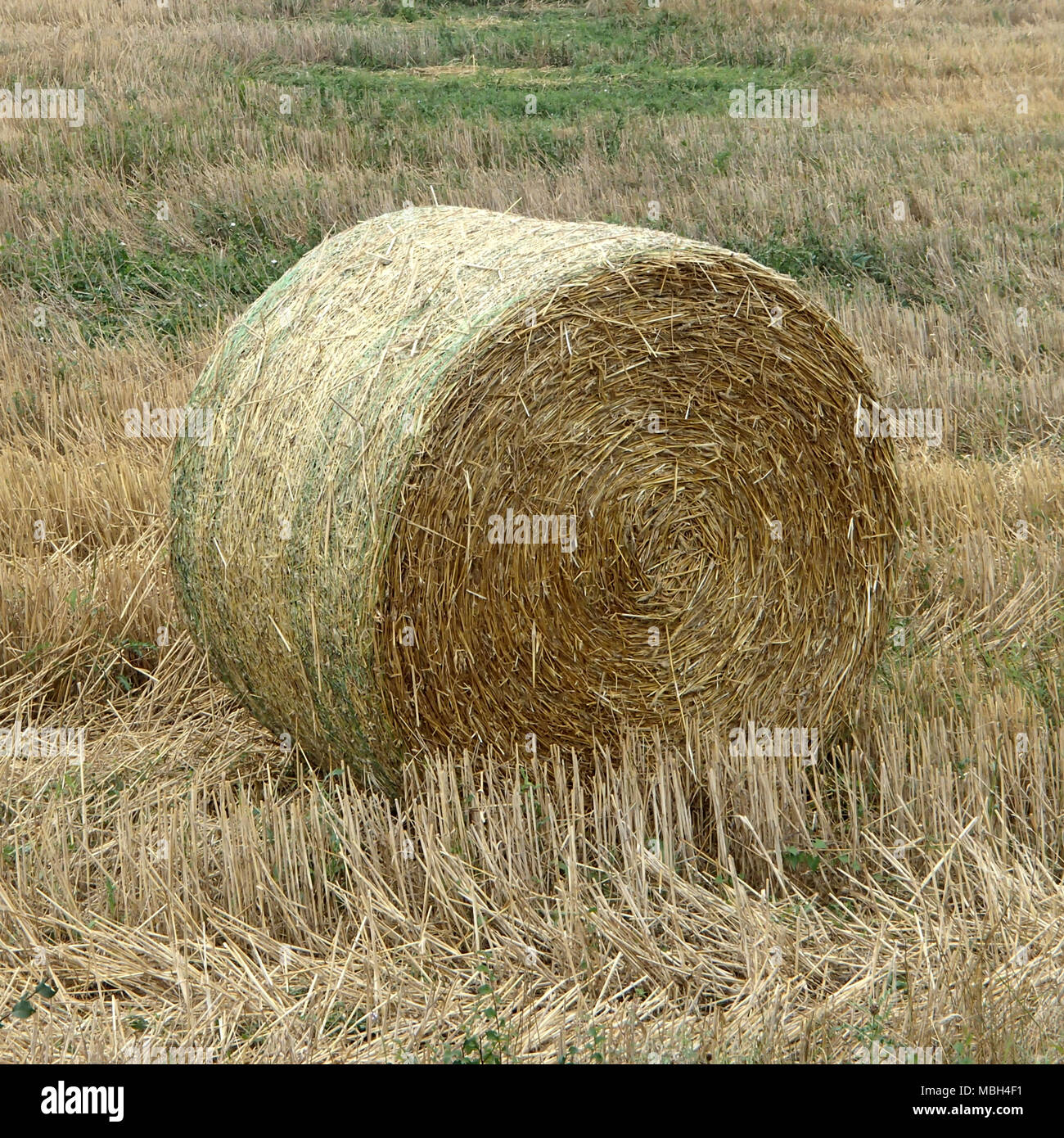 Straw bale stack hi-res stock photography and images - Alamy
